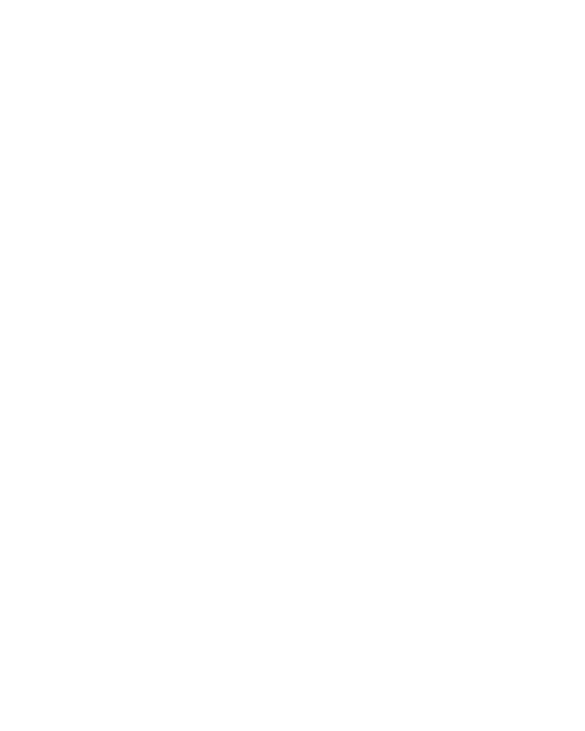 Ppi Assessprev